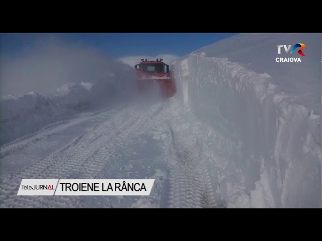 TROIENE LA RÂNCA - Stiri - TVR Craiova