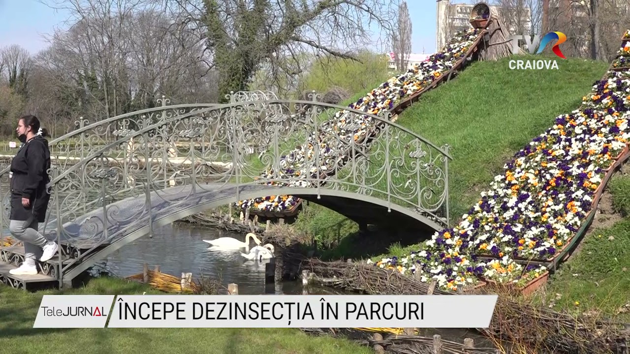 ÎNCEPE DEZINSECȚIA ÎN PARCURI - Stiri - TVR Craiova
