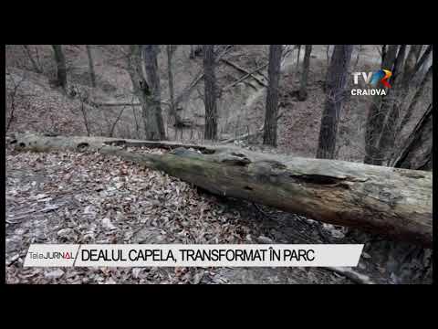 DEALUL CAPELA, TRANSFORMAT ÎN PARC - Stiri - TVR Craiova