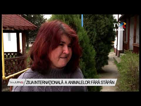 ZIUA INTERNAŢIONALĂ A ANIMALELOR FĂRĂ STĂPÂN - Stiri - TVR Craiova