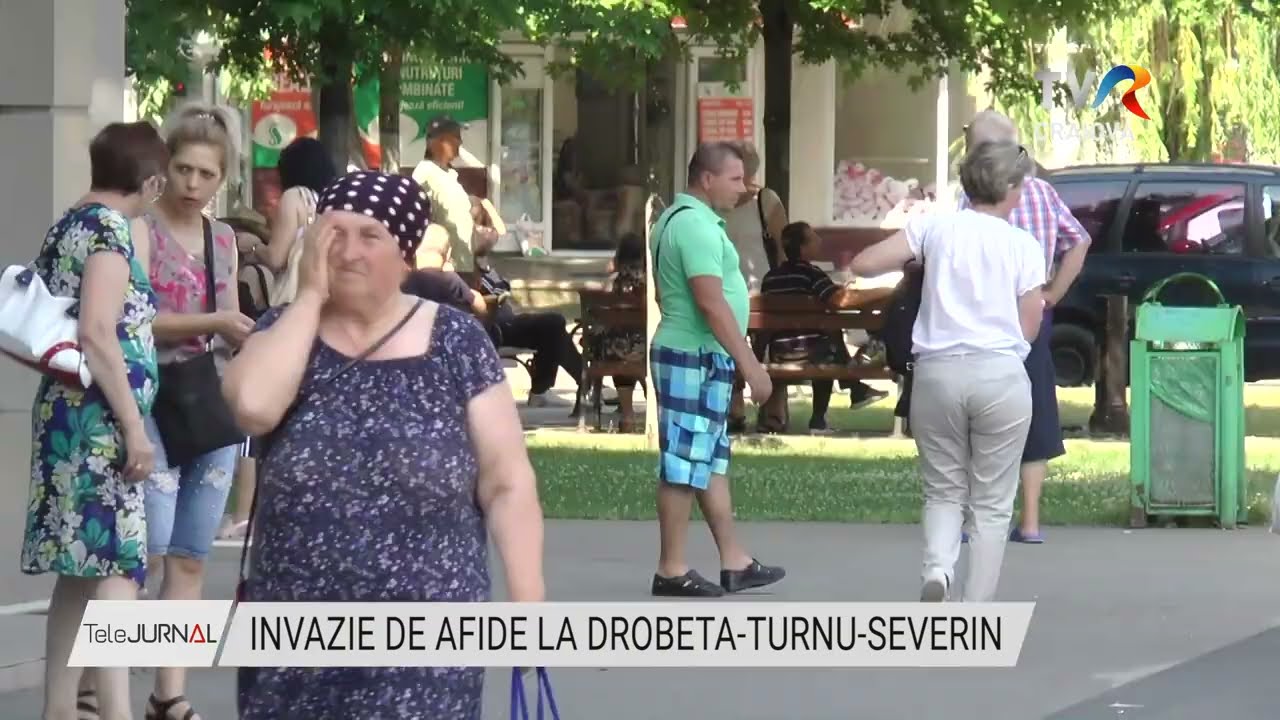 INVAZIE DE AFIDE LA DROBETA-TURNU-SEVERIN - Stiri - TVR Craiova