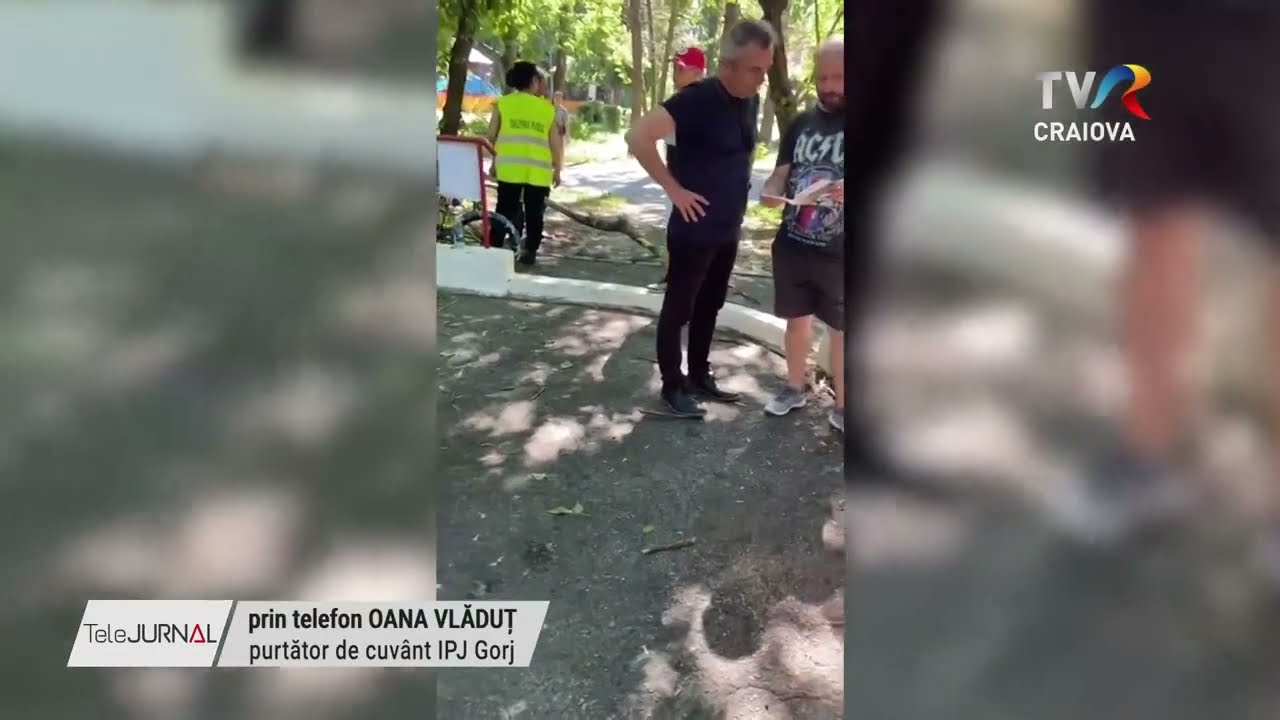 COPIL LOVIT DE O CREANGĂ ÎN PARC - Stiri - TVR Craiova