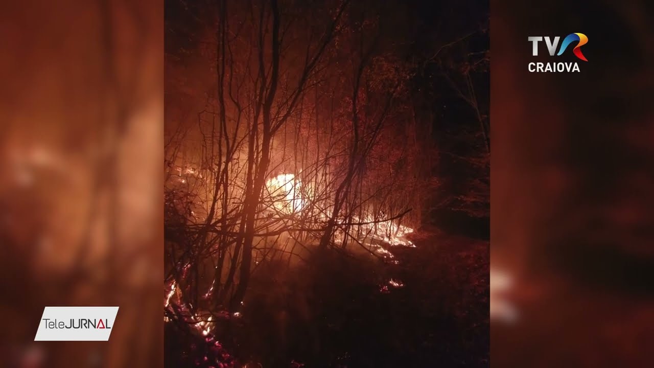 DOSAR PENAL DUPĂ INCENDIU DE PĂDURE - Stiri - TVR Craiova