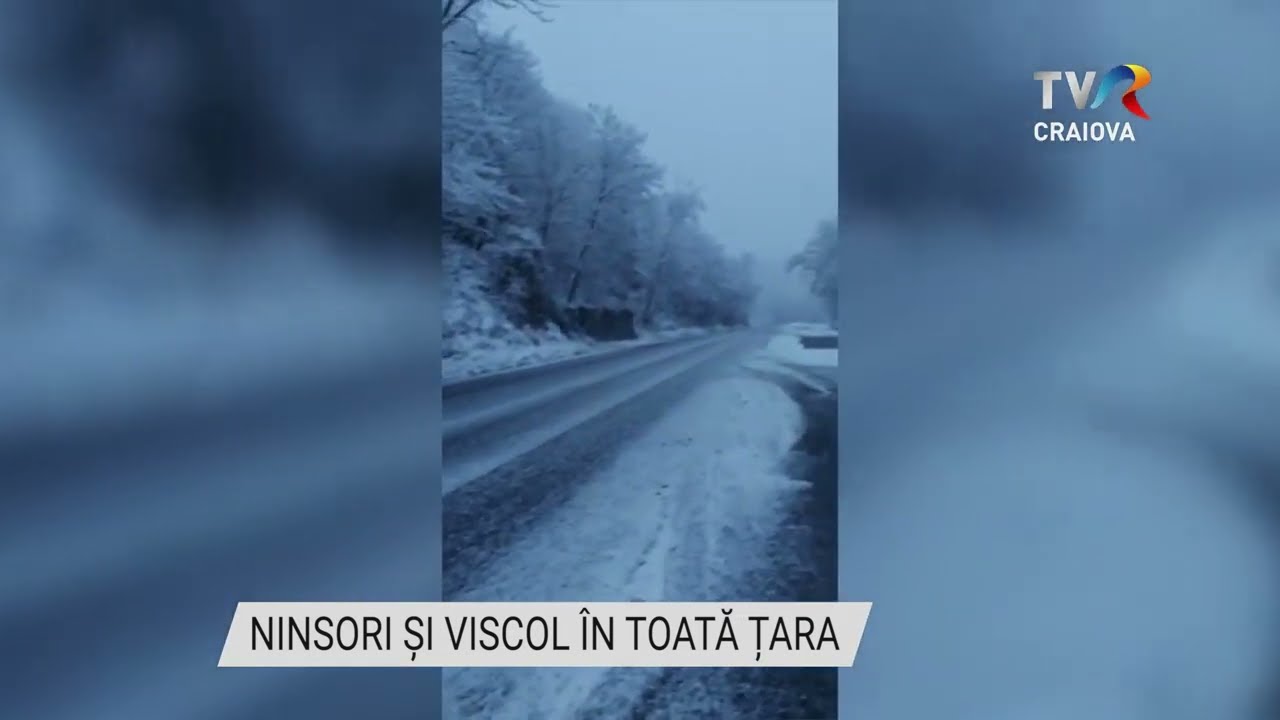 NINSORI ȘI VISCOL ÎN TOATĂ ȚARA - Stiri - TVR Craiova