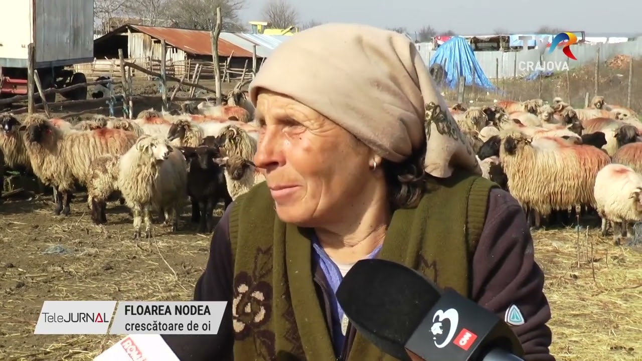 CÂT NE VA COSTA MIELUL DE PAȘTE - Stiri - TVR Craiova
