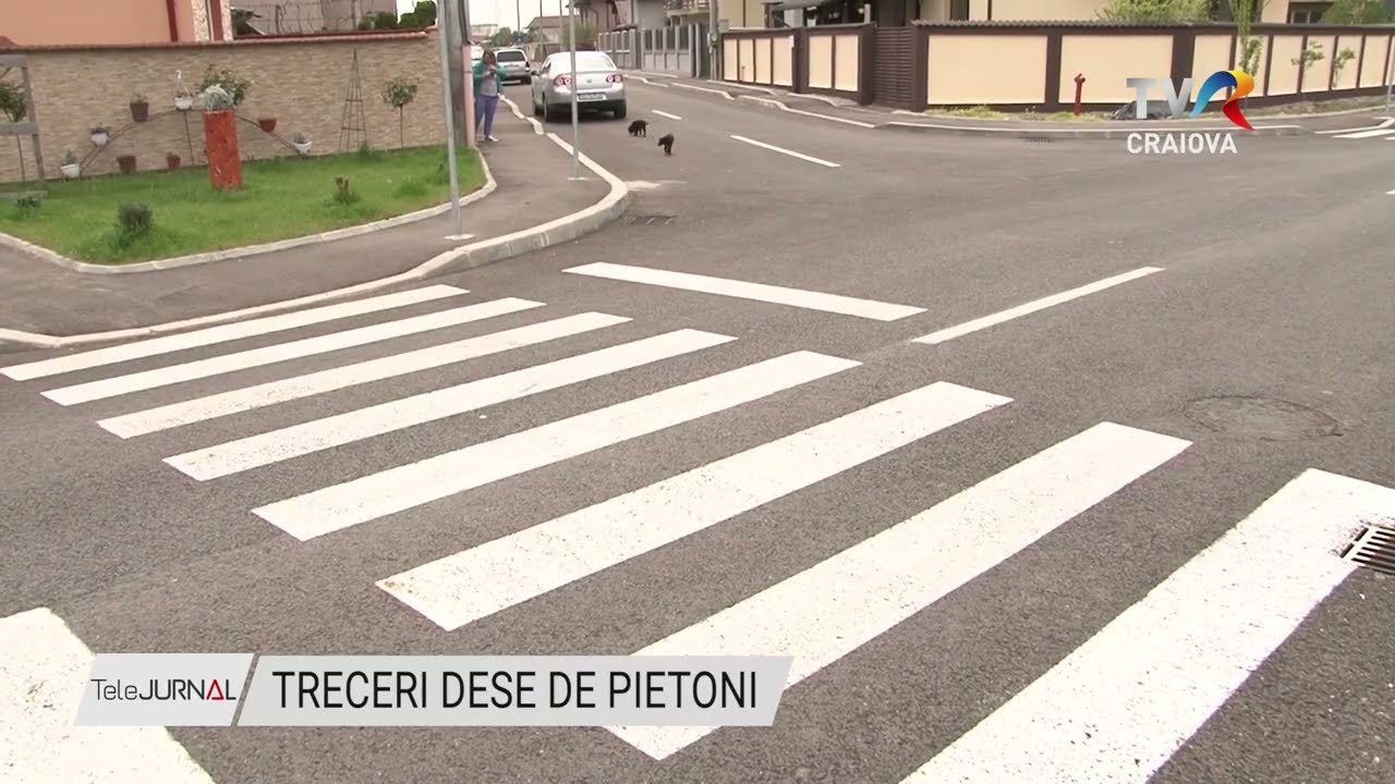 TRECERI DESE DE PIETONI - Stiri - TVR Craiova