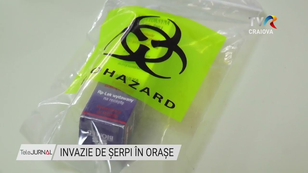 INVAZIE DE ȘERPI ÎN ORAȘE - Stiri - TVR Craiova