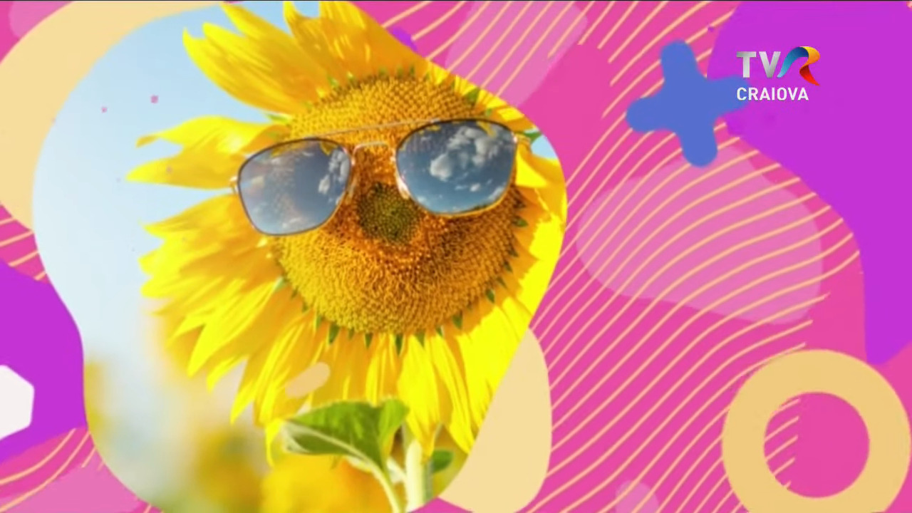 Vara pentru voi - TVR Craiova