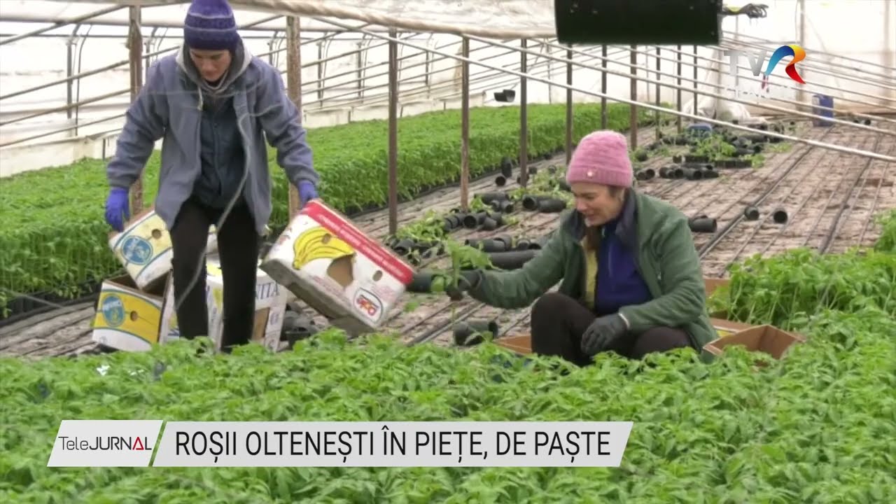 ROȘII OLTENEȘTI ÎN PIEȚE, DE PAȘTE - Stiri - TVR Craiova
