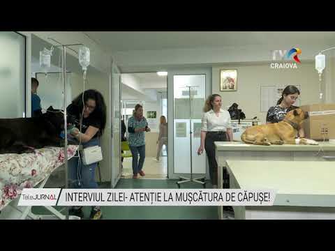 INTERVIUL ZILEI- ATENȚIE LA MUȘCĂTURA DE CĂPUȘE! - Stiri - TVR Craiova
