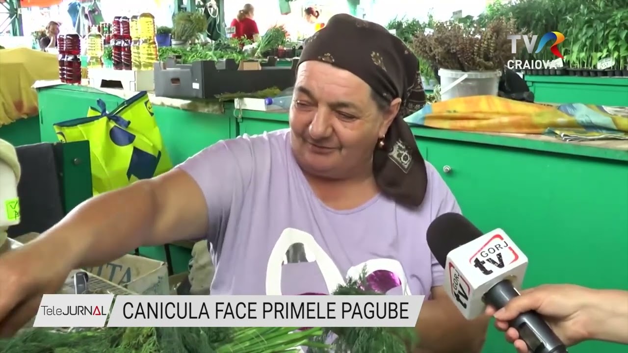 CANICULA FACE PRIMELE PAGUBE - Stiri - TVR Craiova