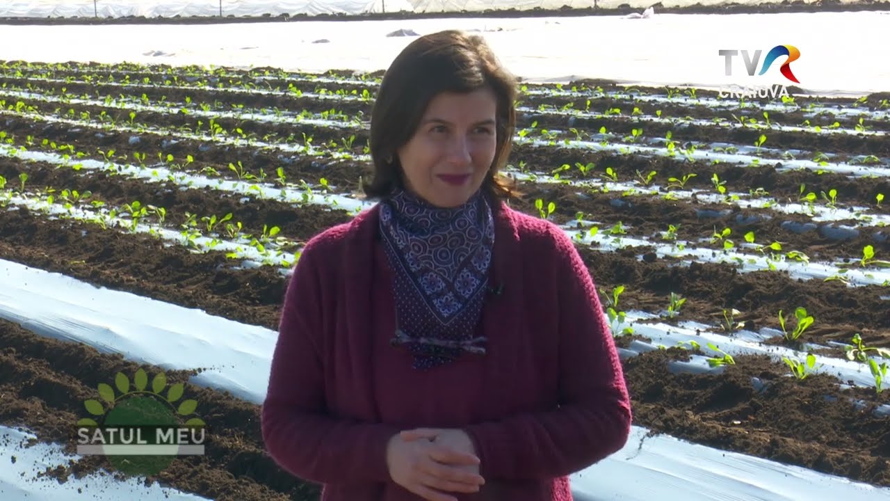 Satul meu - Moțăței, Poiana Mare - TVR Craiova