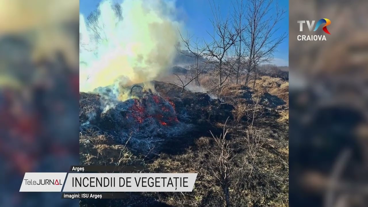 INCENDII DE VEGETAȚIE - Stiri - TVR Craiova