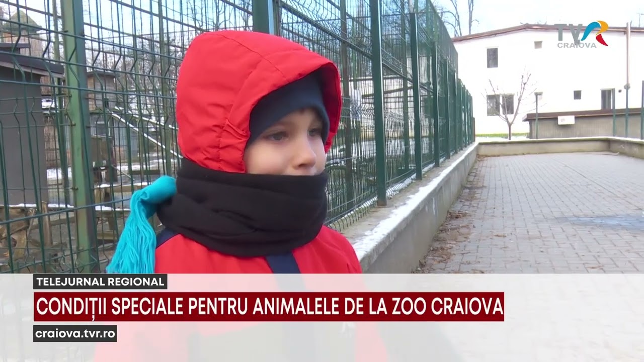 CONDIȚII SPECIALE PENTRU ANIMALELE DE LA ZOO CRAIOVA - Stiri - TVR Craiova